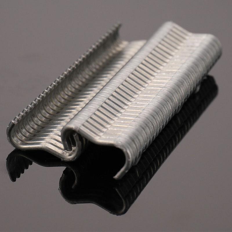 Buy 600 Pcs M Nail Cages Installed Chicken Duck Bird Dog Cage Clamp ...