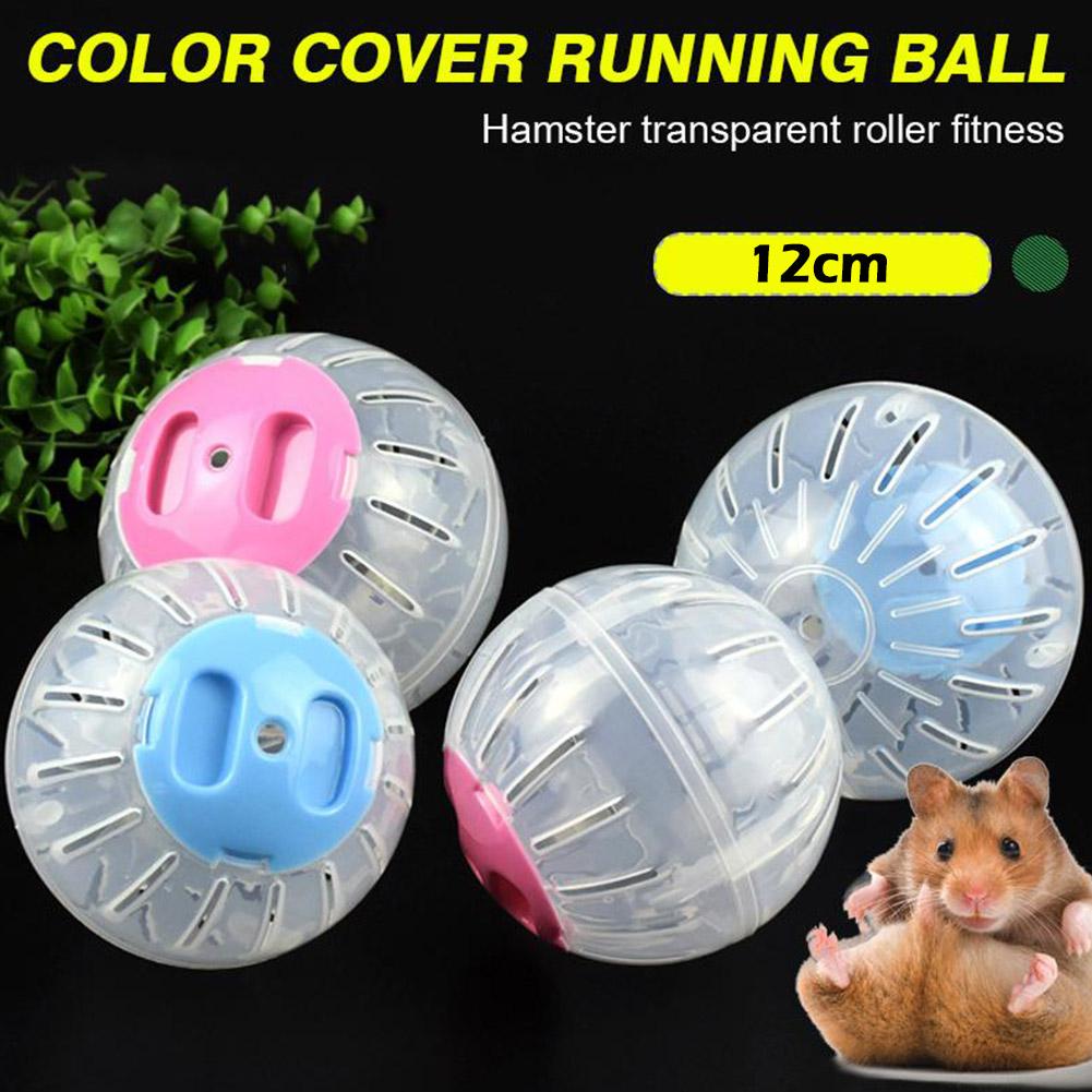 Buy Hamster Treadmill Plastic Round Ball Toy For Hamsters Rat Ball ...