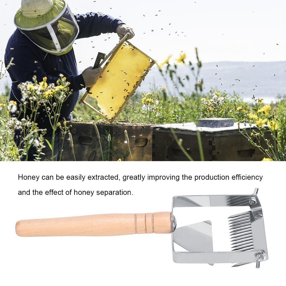 Buy Adjustable Stainless Steel Beehive Scraper Beekeeping Uncapping ...
