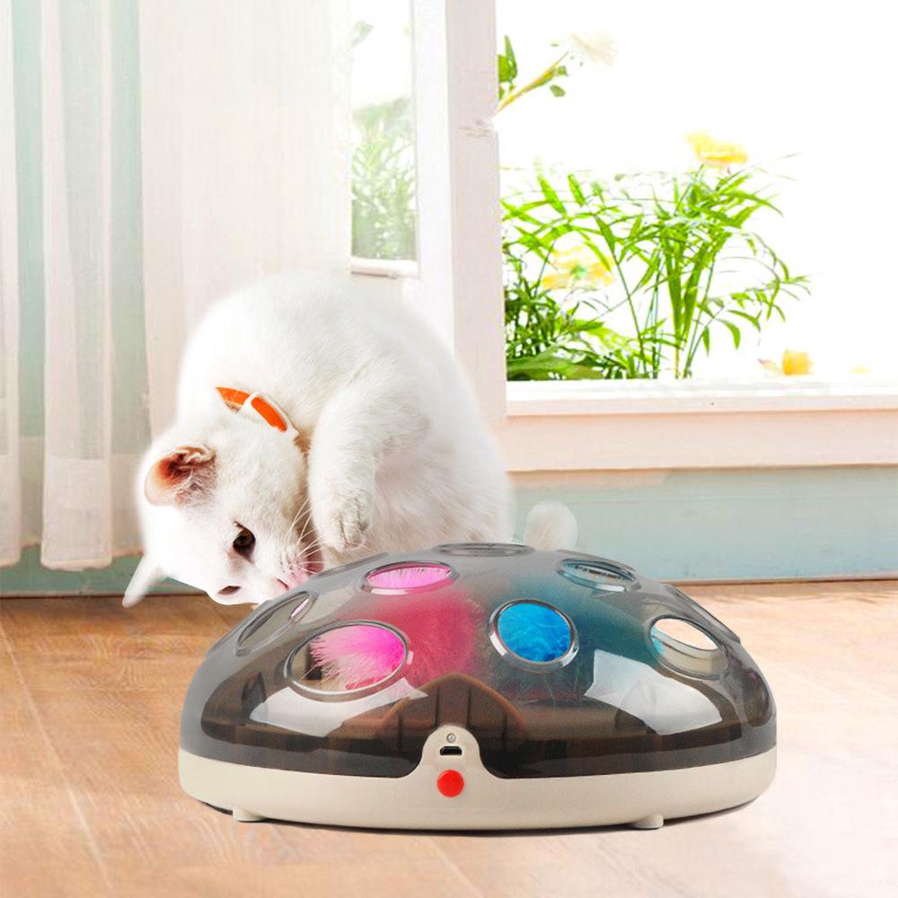 Interactive Cat Pet Toy Smart Rechargeable Exercise Chaser Training Cat ...
