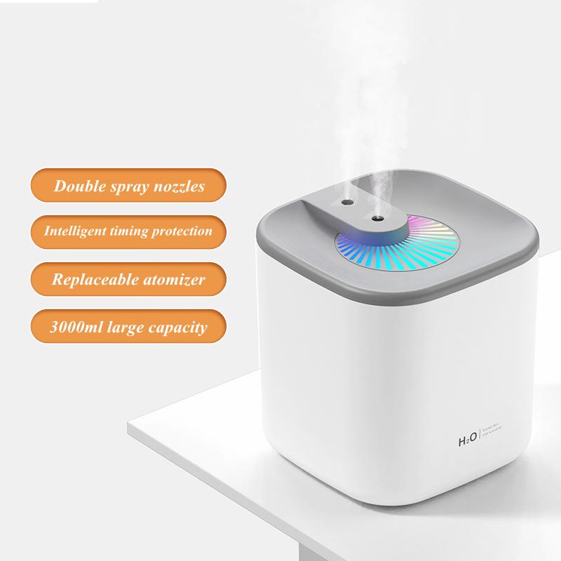 Buy Dual Nozzle Air Humidifier USB Aromatherapy Mist Maker Diffuser ...