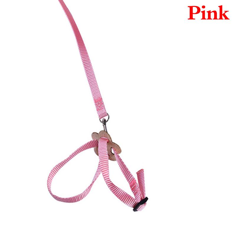 Buy 1pc Party Tortoise Strap Training Rope Bird Harness Parrot Leash ...