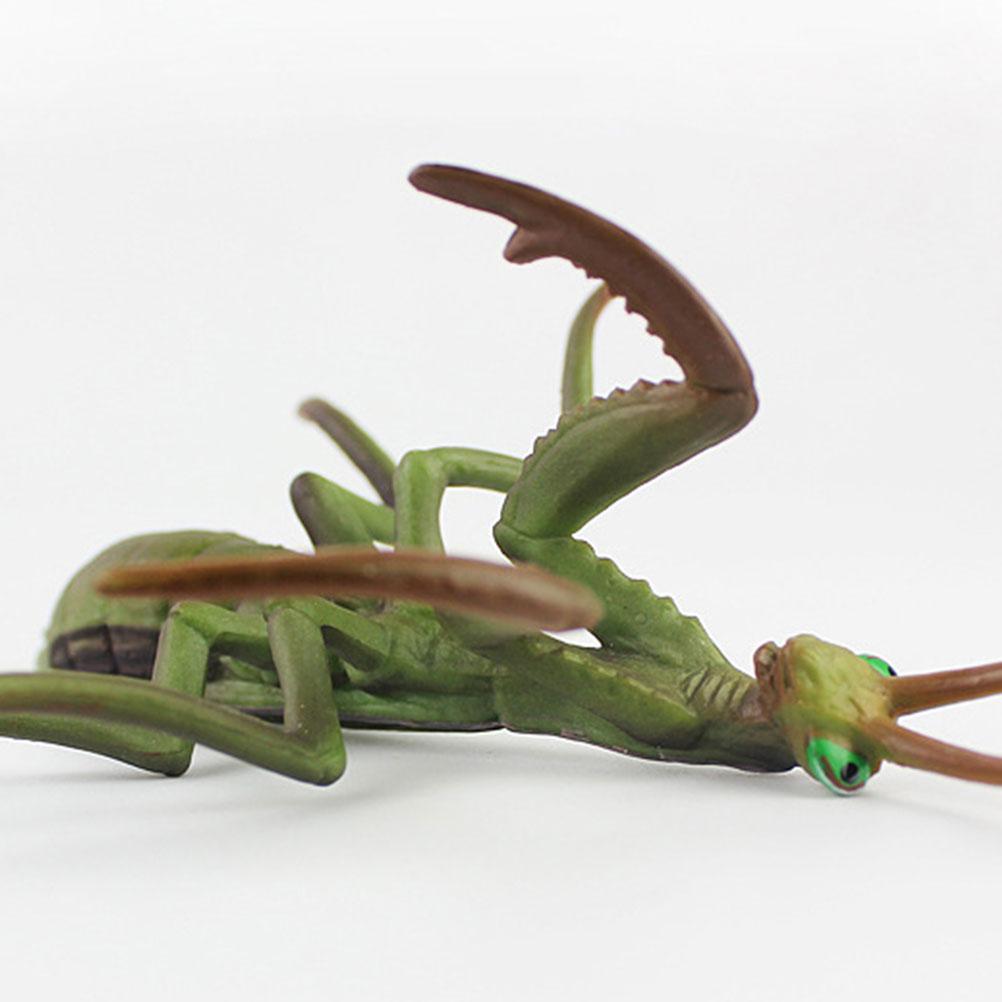 Buy 2 Pcs Simulation Mantis Figurine Insect Model Toy Creative Desktop ...