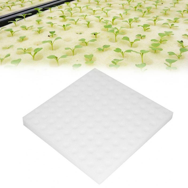 Buy Hydroponic Sponge Planting Gardening Tool Seedling Sponges For ...