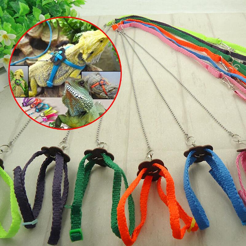 Buy Adjustable bearded dragon lizard reptile pet leash Harness for ...