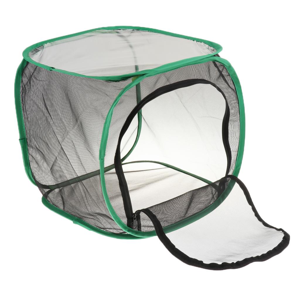 Buy Collapsible Insect and Butterfly Habitat Net Terrarium Breeding ...