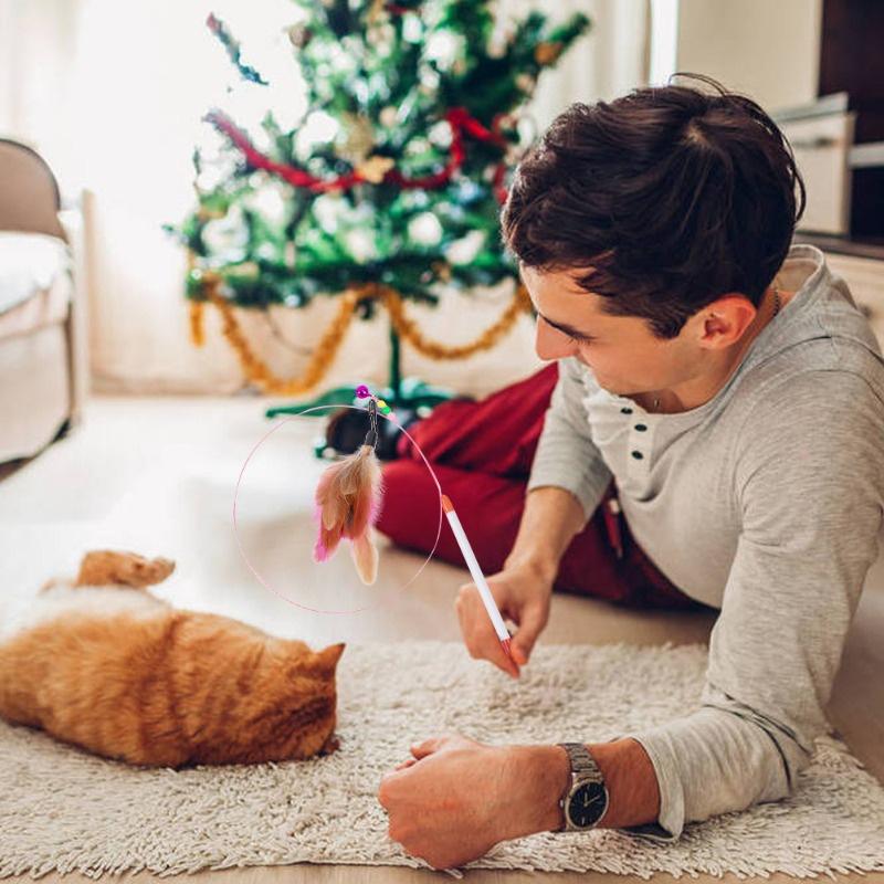 💰Kaufe Cat Teasing Stick Kitten Interactive Toys Cat Teaser Wand Cat ...