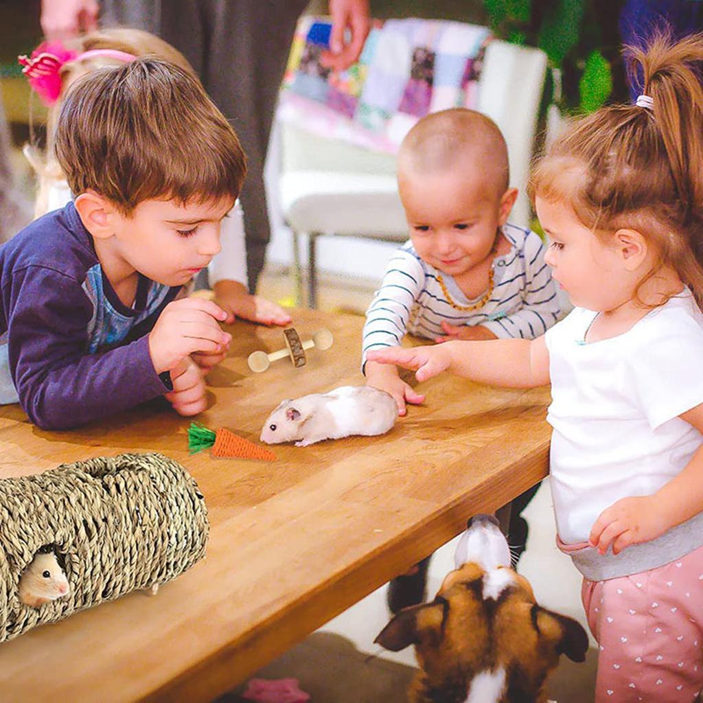 Buy 12 Pack Chew Toys for Small Animal Pets Teeth Clean Wood Roller ...