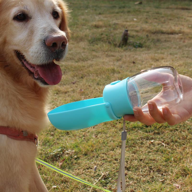 Buy Small and Medium-sized Dog Drinking Fountains, Outing Drinking ...