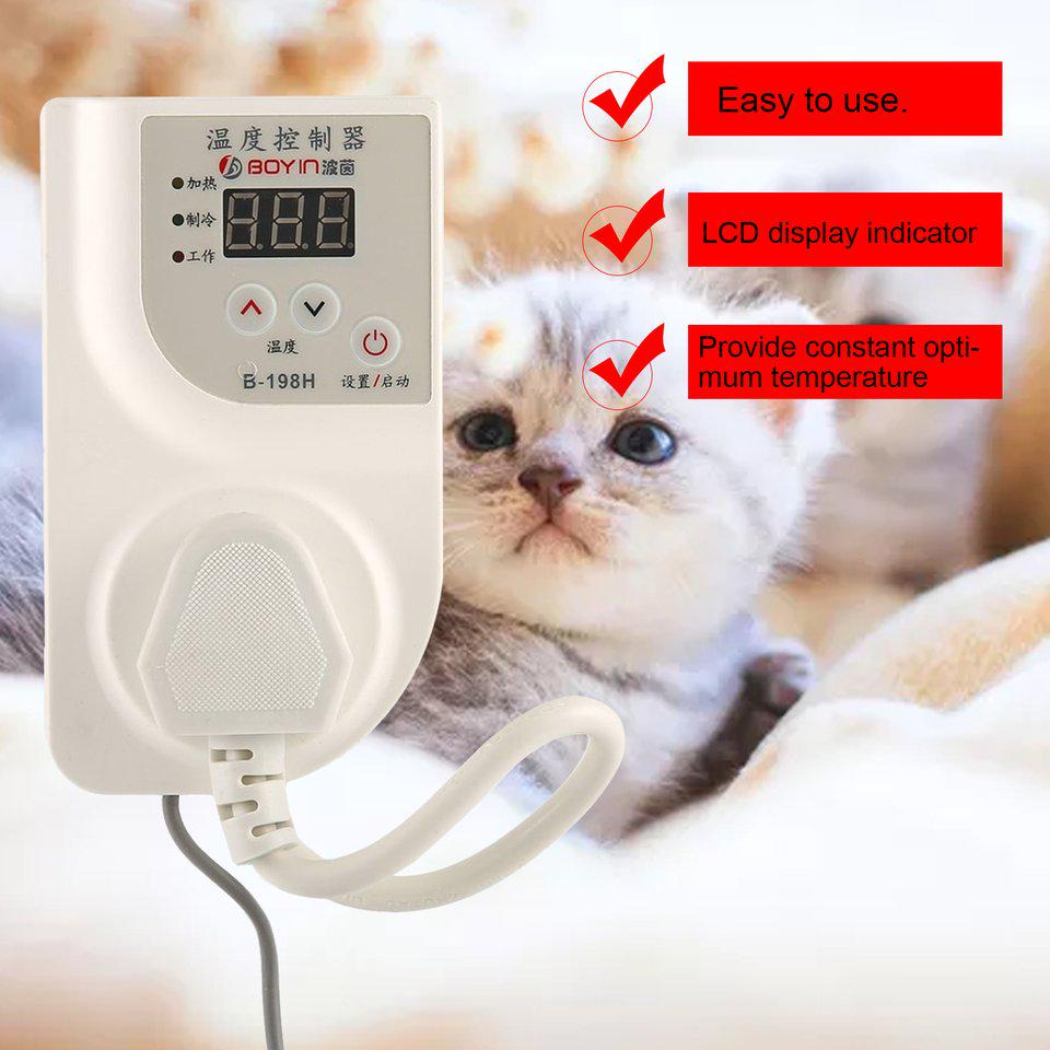 Buy LCD Display Digital Temperature Controller for Reptile Incubator ...