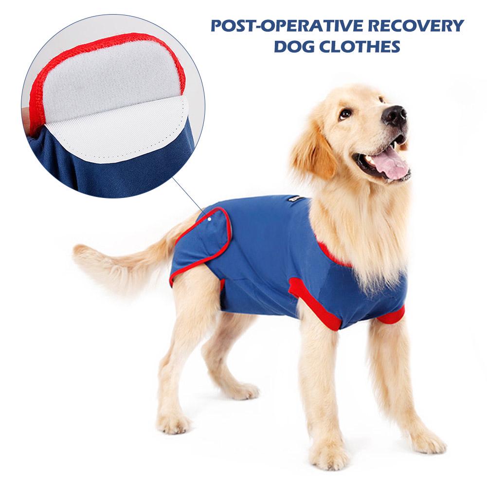 Buy Pet Recovery Suit Post-operative Anti-bite Clothes for Dogs Cotton ...