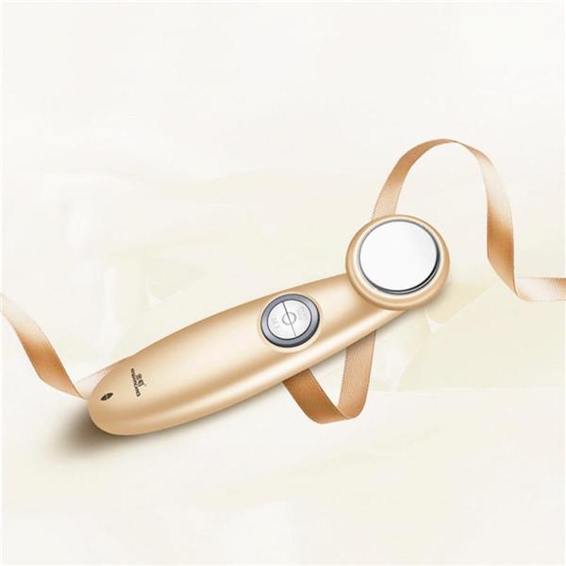 Buy Facial Detoxification Massage Rejuvenation Beauty Instrument Ion ...