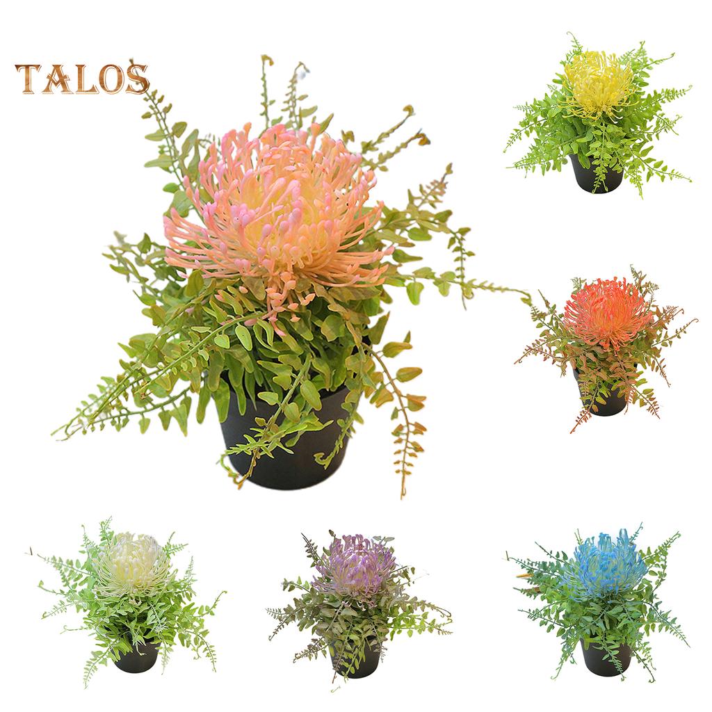 Buy TK Potted Artificial Protea Flower Bonsai Stage Office Garden ...
