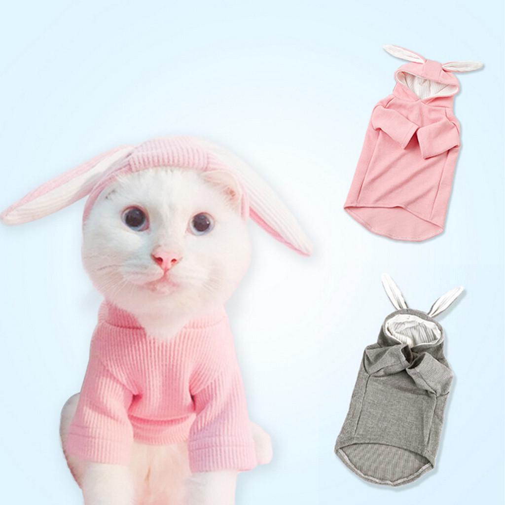 Buy Pet Dog Shirt Rabbit Ear Hooded Puppy Coat Cat Warm Clothes Coat buy-pet-dog-shirt-rabbit-ear-hooded-puppy-coat-cat-warm-clothes-coat