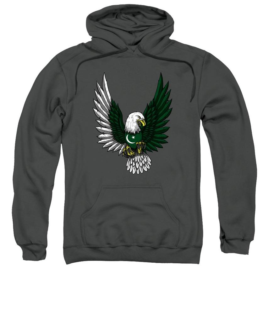 300 GSM Men's Healthy Cotton Hoodies pakistan flag pakistani Print ...