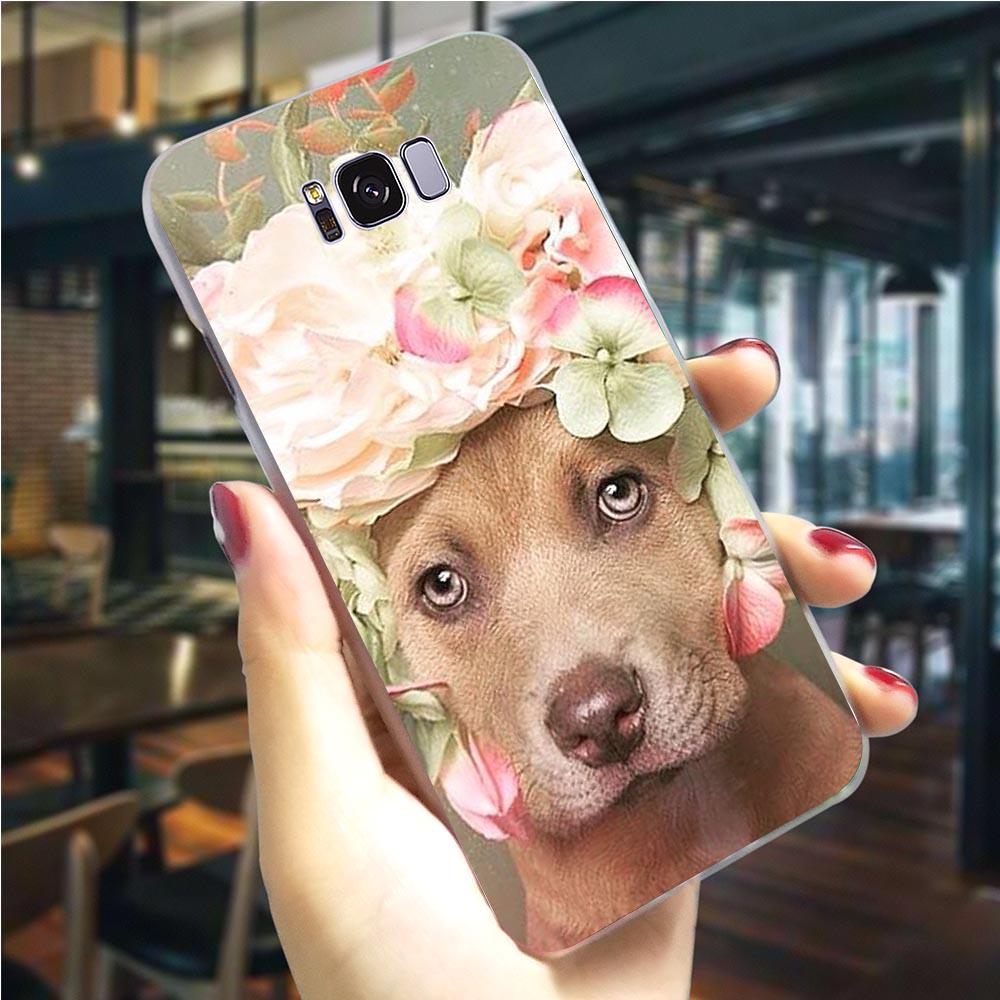 Buy Pet Dog Phone Case for Samsung S8 Plus Cover Note 8 9 10 M10 M20 ...