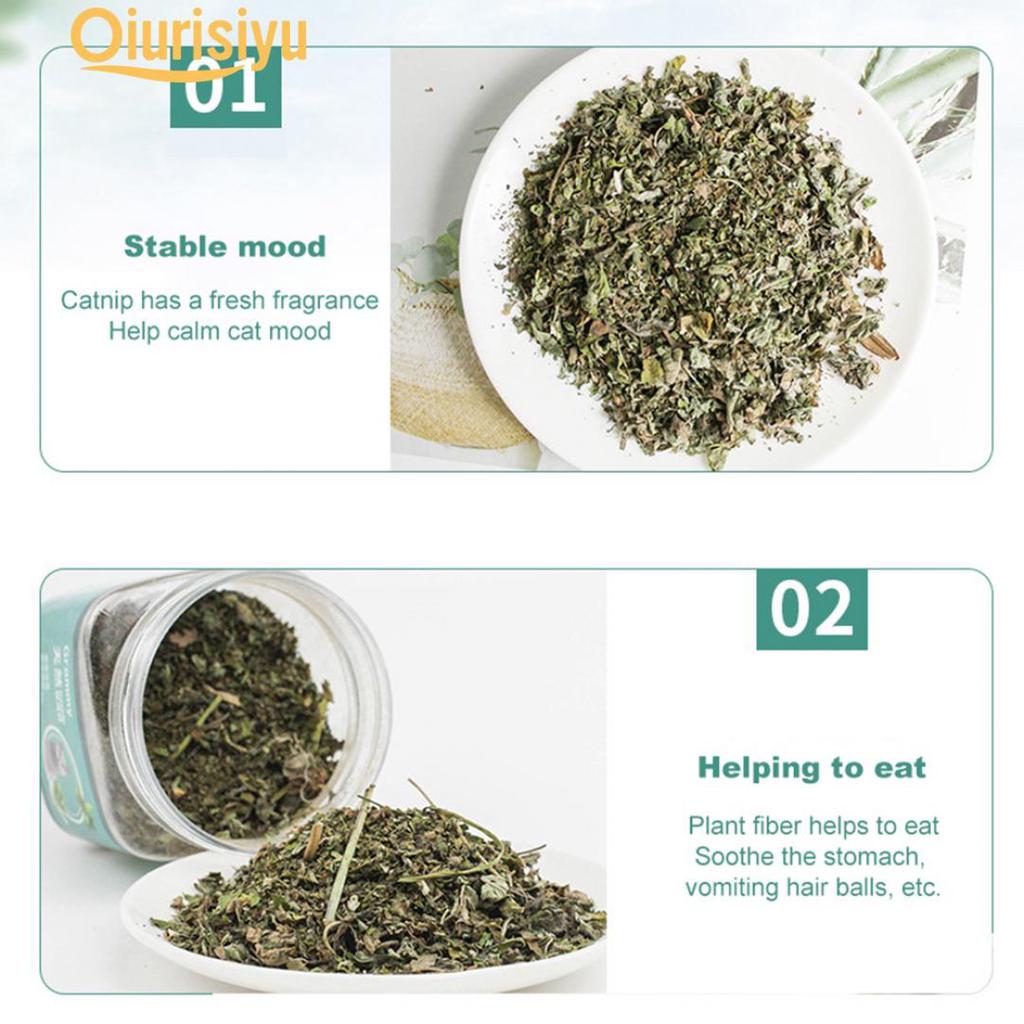 Buy 250ml Catmint Help Digestion Cat Menthol Flavor Pet Snack at ...