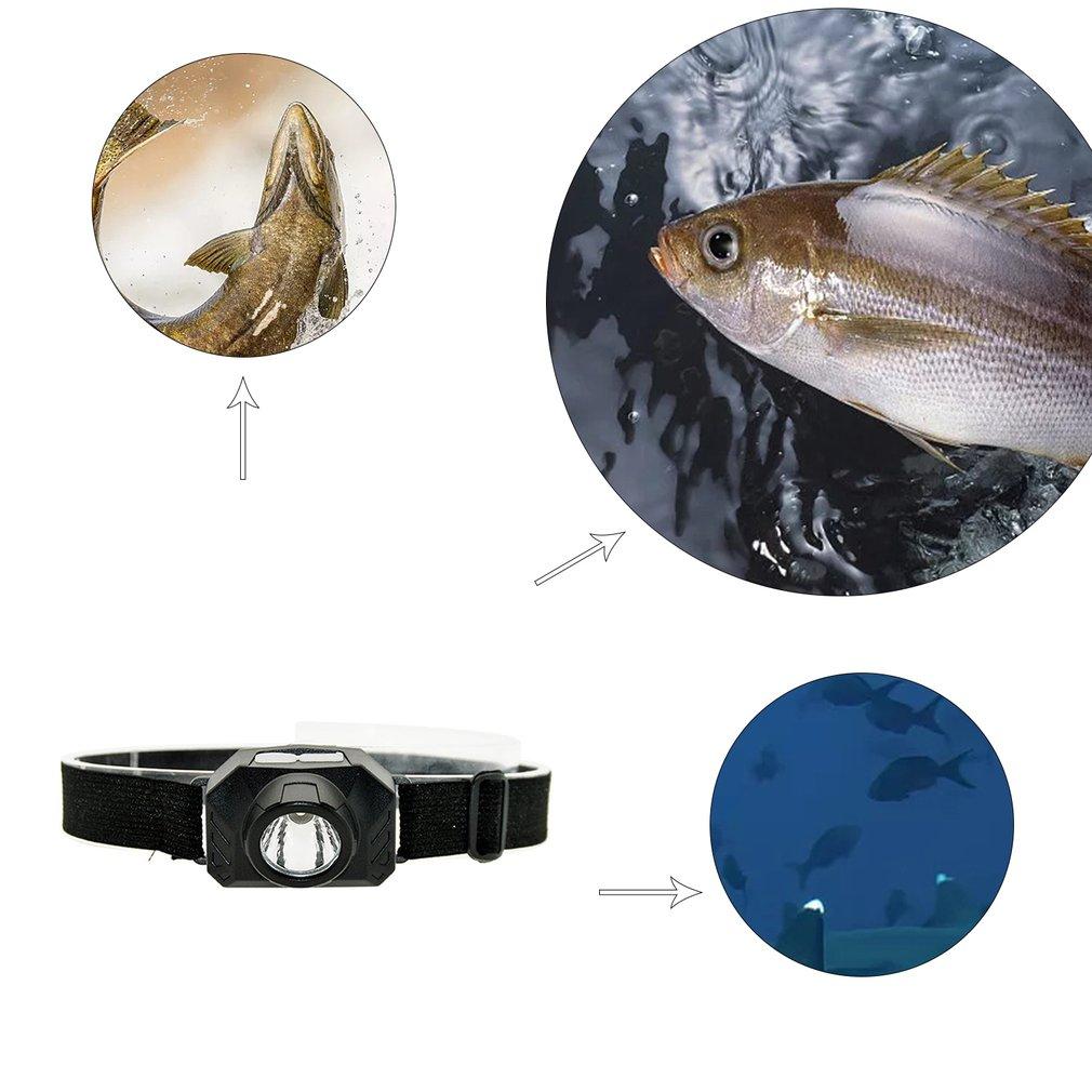 Buy May Travel Headlights LED Headlights High-brightness Fishing ...