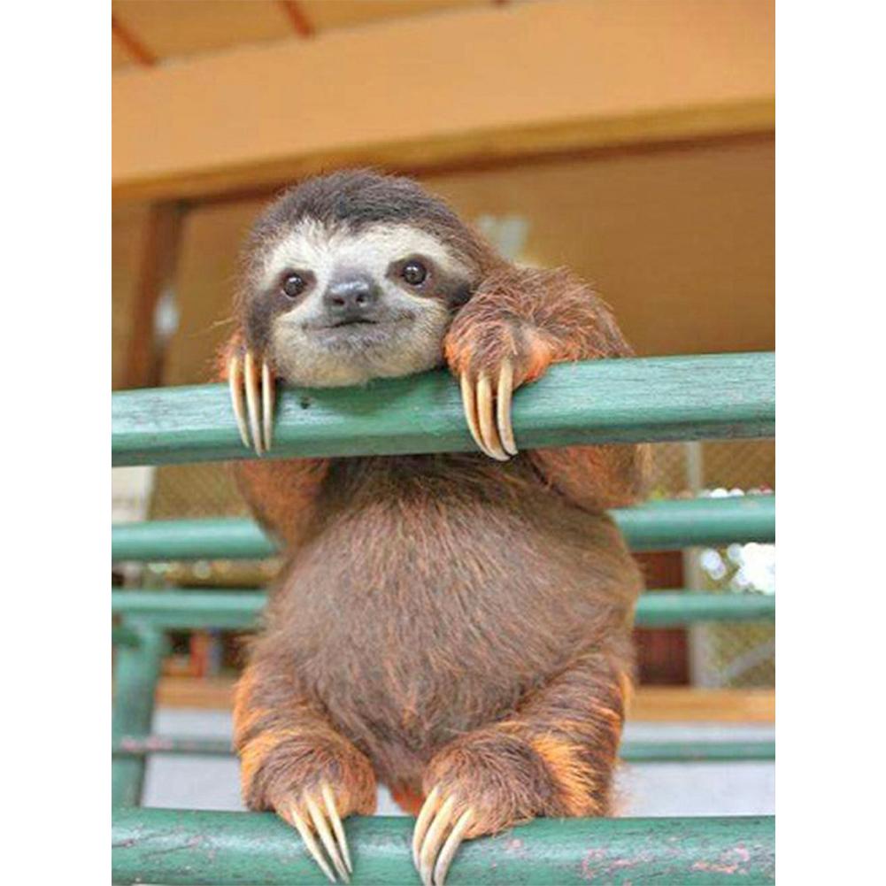 Buy Full Round Drill Diamond Painting Sloth Resin Mosaic Kits 5D DIY ...