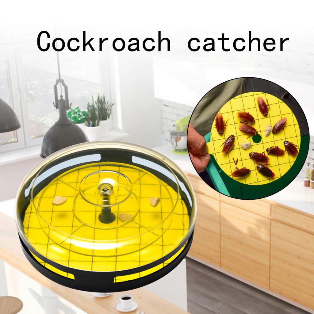 Buy Fashion Cockroach Bait Box Reusable Cockroach Catcher Efficient Bug ...