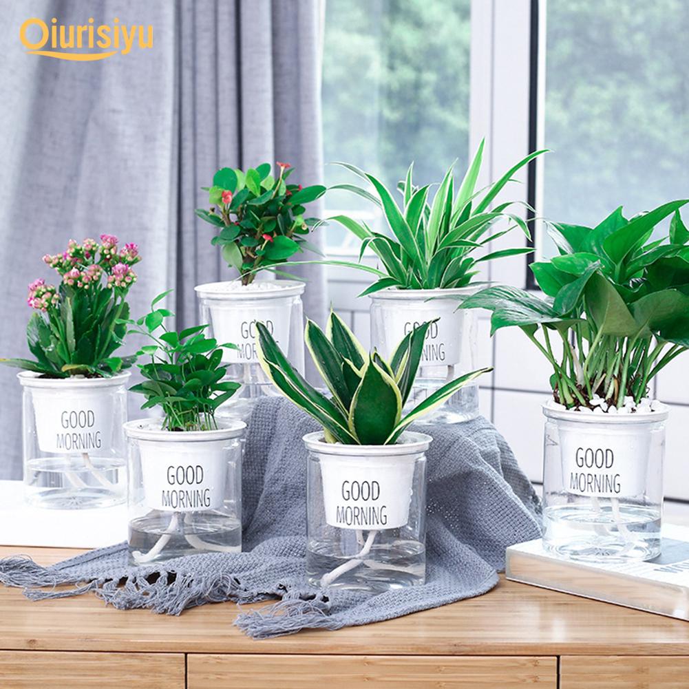 Buy 2 Sets Double Tier Hydroponic Self-watering Flowerpot at affordable ...
