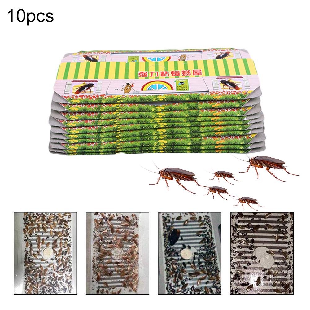 Buy 10 Pcs Cockroach House Cockroach Trap Repellent Killing Bait Strong ...