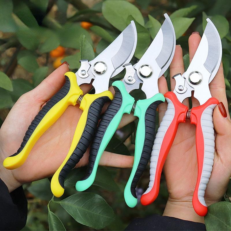 Buy Garden Scissors Fruit Branch Scissors Branch Scissors Garden ...