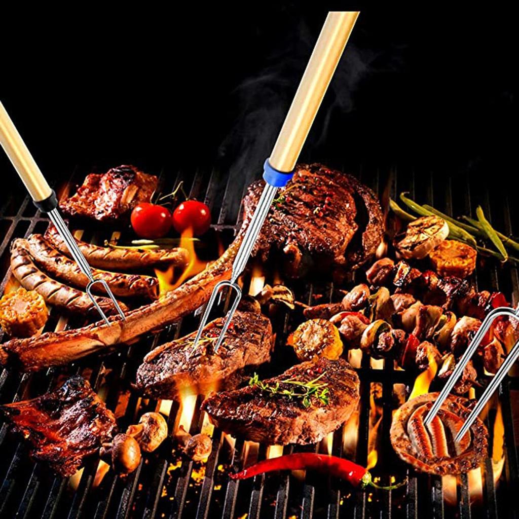 Buy SX Stainless Steel Tube Telescopic Color Wooden Handle Barbecue ...