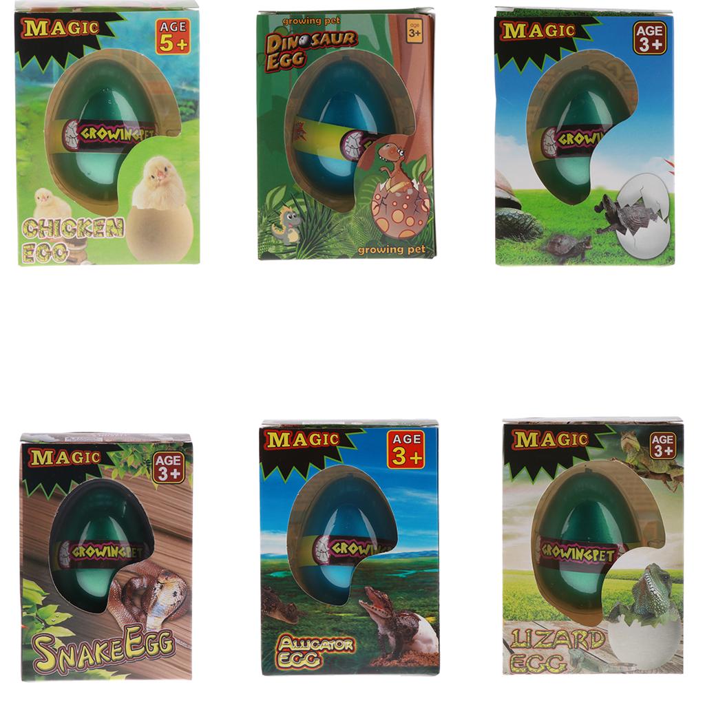 Buy 1 Piece Magic Add Water Animal Hatching Growing Eggs Kids Fun Toy ...