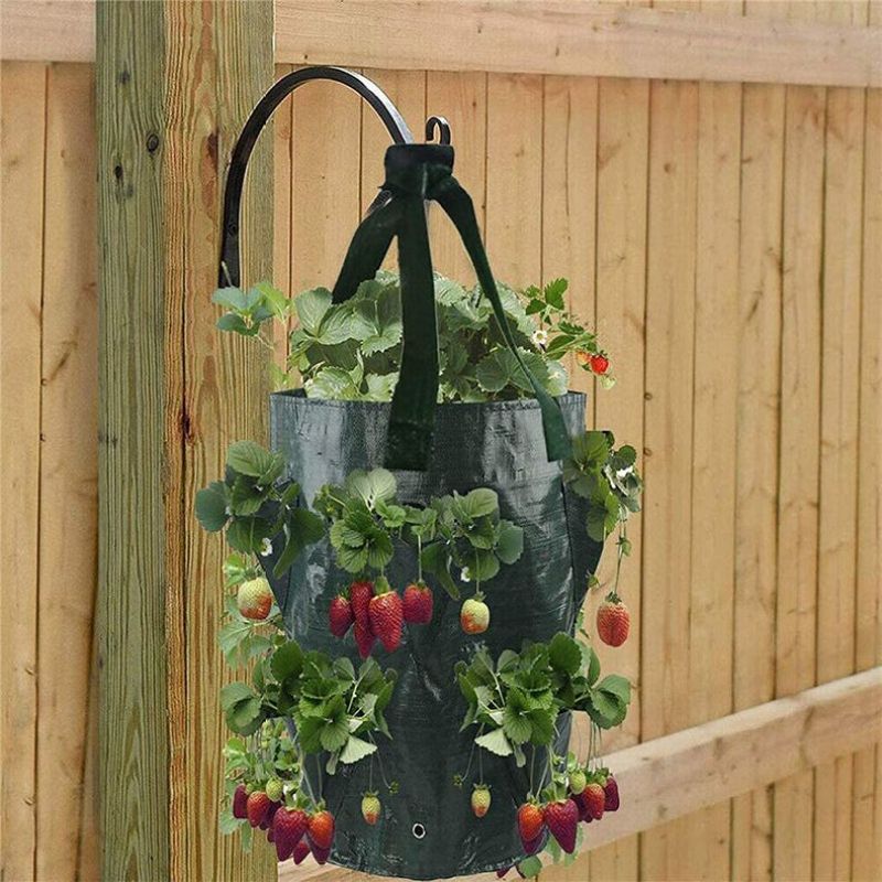 Buy New Universal Grow Planter Container Bag Plants Pouch Root Plant ...