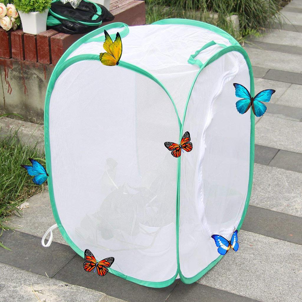 Buy Large Pop Up Butterfly Habitat Terrarium Insect Cage Mesh Science ...