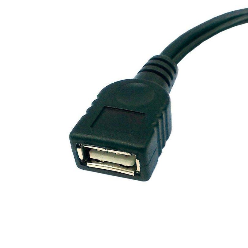 Buy 2pcs USB Port Terminal Adapter OTG Cable Usb Port Terminal ...