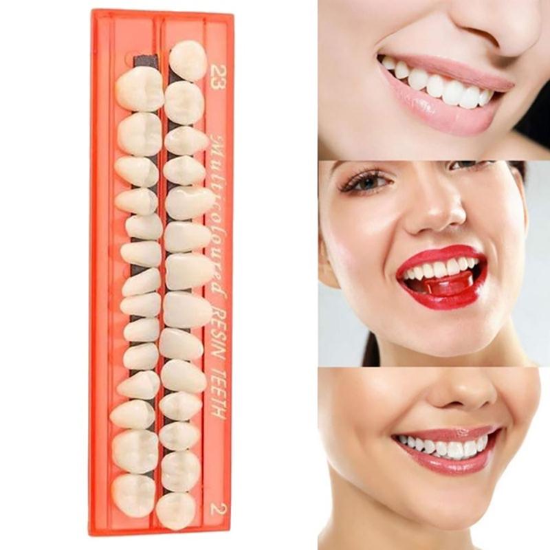 Buy Dental Materials Plastic Teeth Teaching Model Special Tooth Box ...