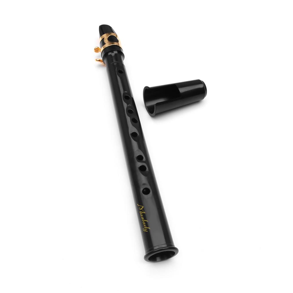 Buy Muslady Black Mini Pocket Saxophone Portable Little Sax with Black ...