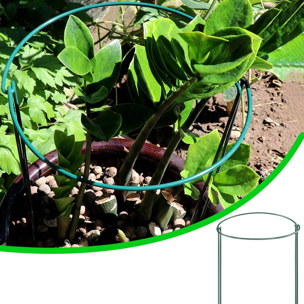 Buy 8pcs Horticultural Plant Holder Ring Holder Garden Plant Holder ...
