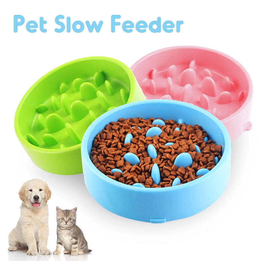 Portable Dog Slow Eating Bowl Foldable Pet Dog Cat Feeder Durable Non ...