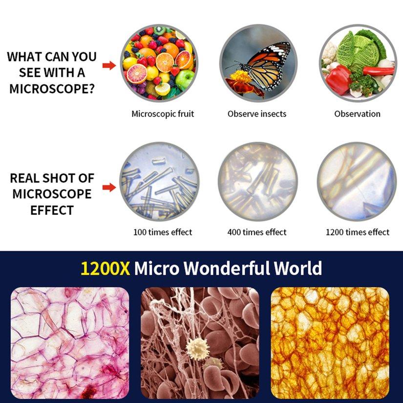 Buy Amber Baby Kids Microscope Kit Science Lab LED 100-1200X Biological ...