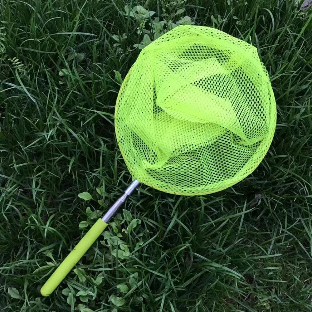 Buy Telescopic Fishing Butterfly Net Catching Insect Children Outdoor ...
