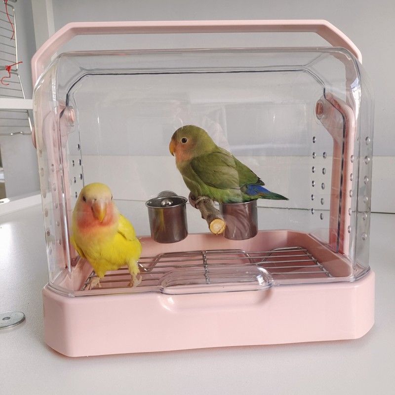 Buy Parrot Incubator Temperature-Controlled Hand-Reared Young Birds ...