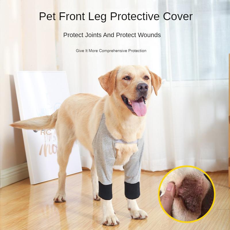 Buy Pet Knee Pads Dog Knee Pads Anti-licking Knee Pads Dog Leg Guards ...