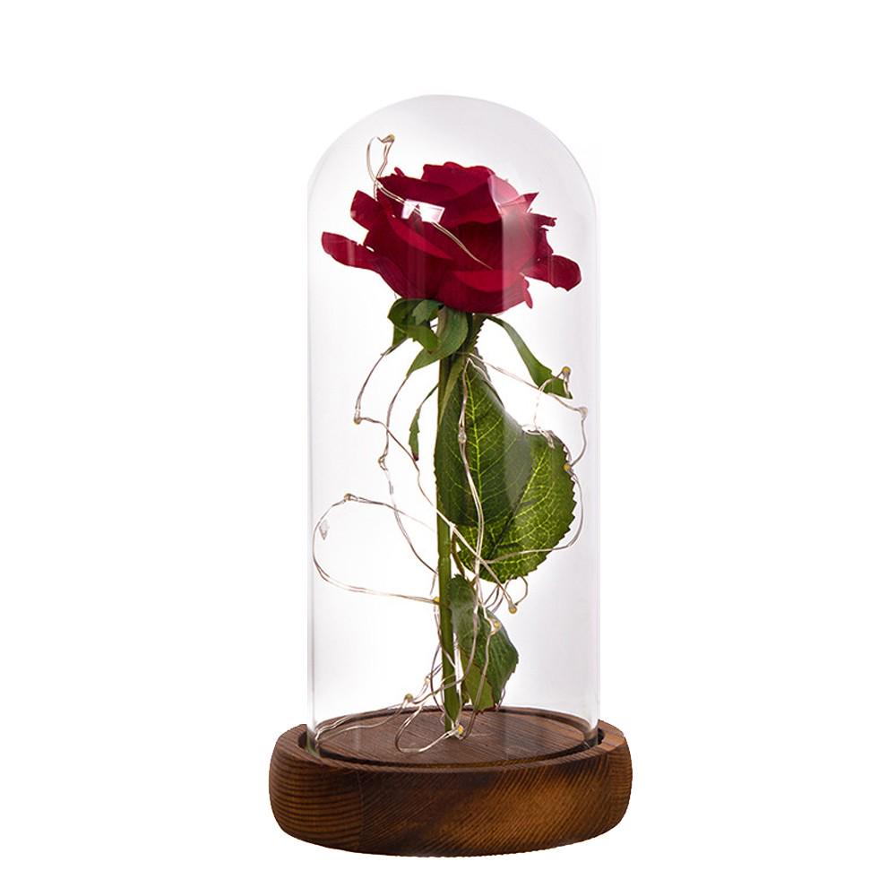 Glass Cover Internal Rose DIY Decoration Lamp uygun fiyatlı satın alın ...