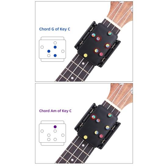 Beginner Ukulele Learning Tool Ukulele Chord Trainer - Color-Coded ...