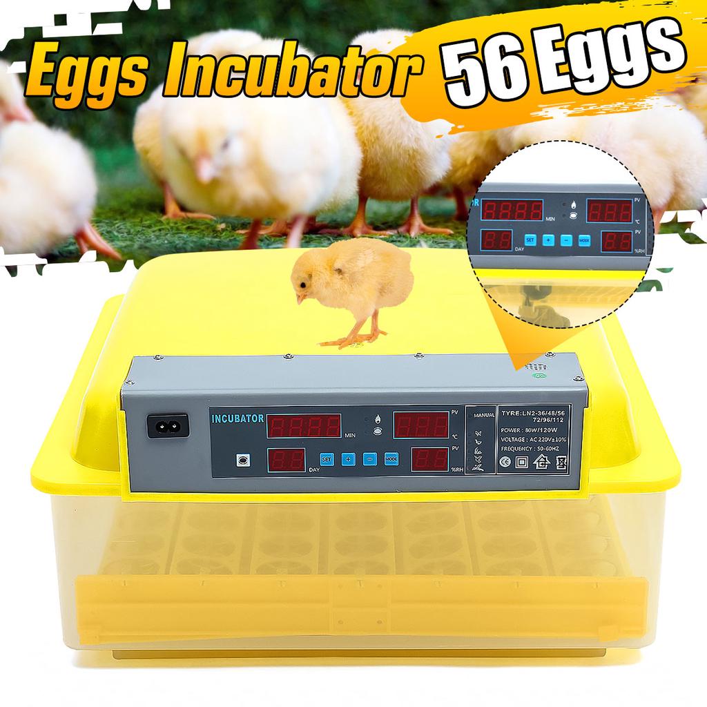 Buy 56 Eggs Digital Automatic Turner Incubator Chicken Hatching Machine ...