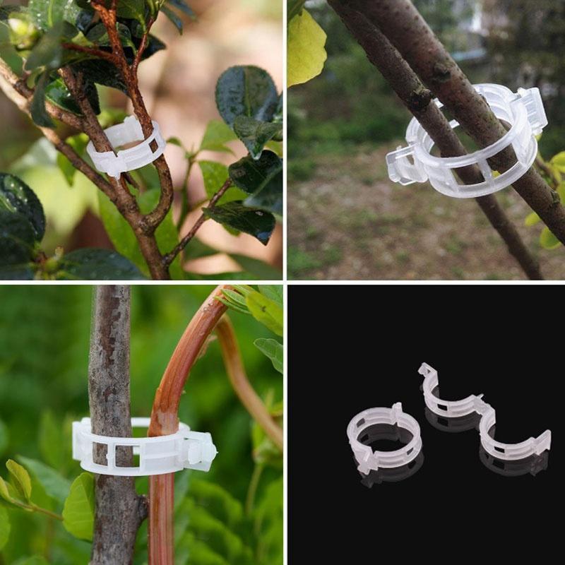 50Pcs Trellis Tomato Clips Supports Connects Plants Vines Trellis Twine ...