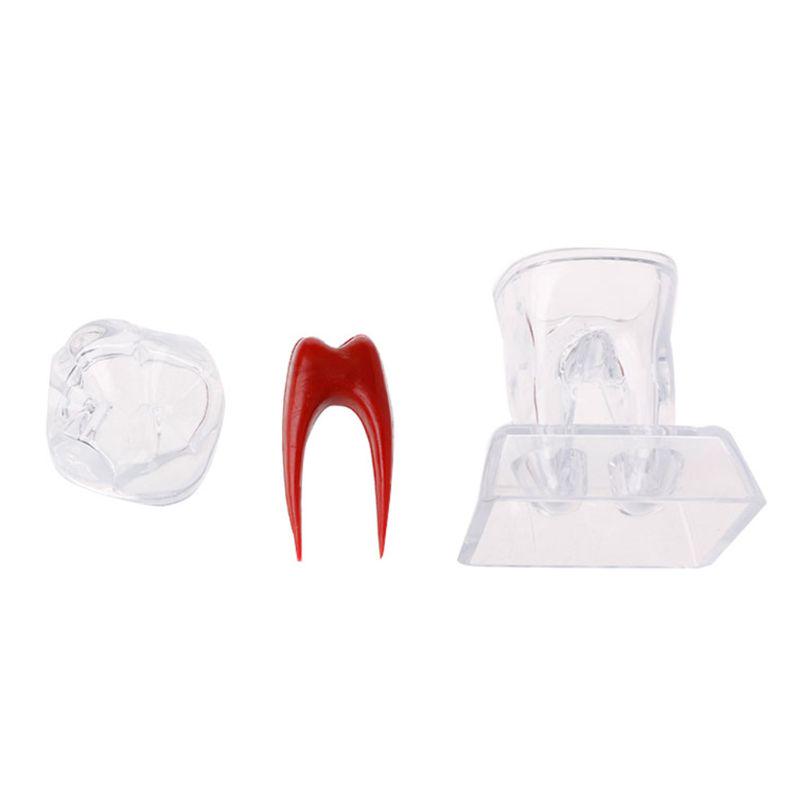 Cheap Dentist Dental Base Hard Plastic Teeth Tooth Molar Model ...