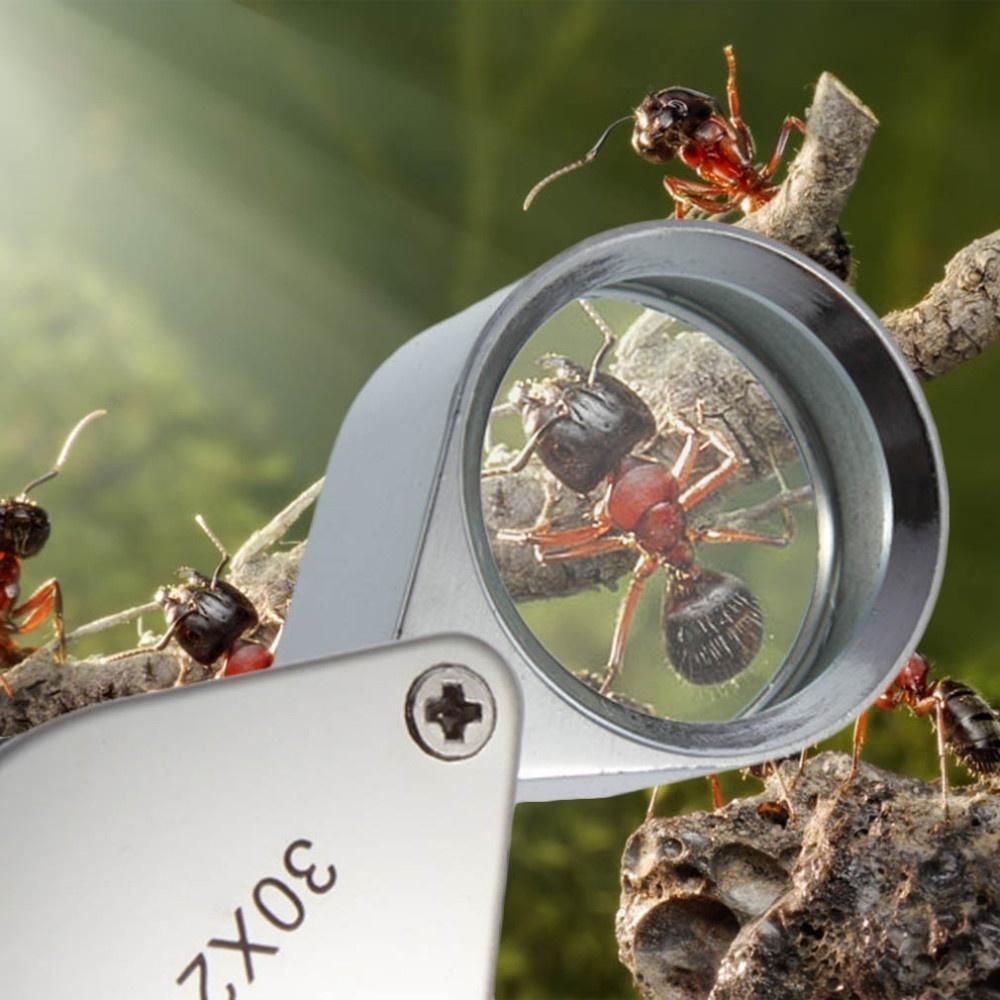 Buy 30 x 21mm Jewellers Loupe Magnifier Hallmark Eye Lens at affordable ...