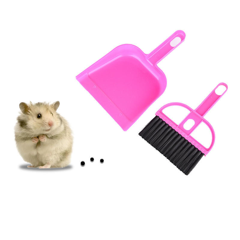 Buy Rodents Cleaning Kit Mini Dustpan Broom Sweep Kit Pet at affordable ...