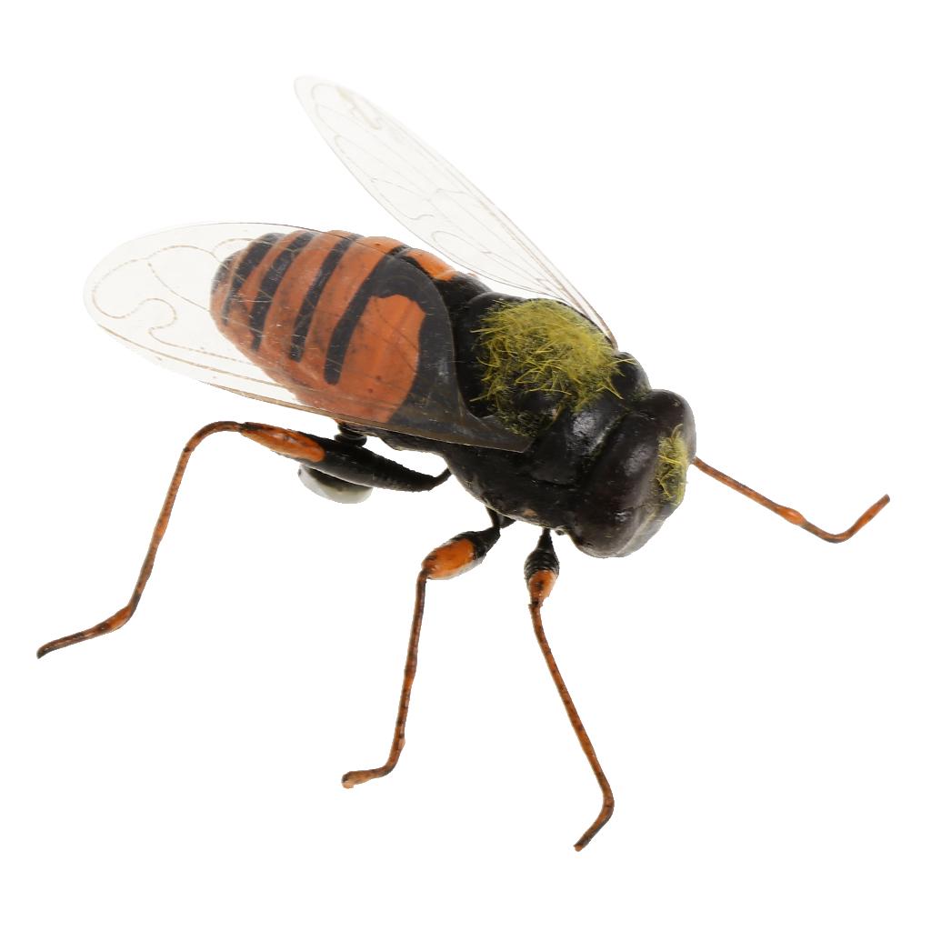 Buy 5Pcs Simulation Artificial Insect Model Kids Educative Toys Locust ...