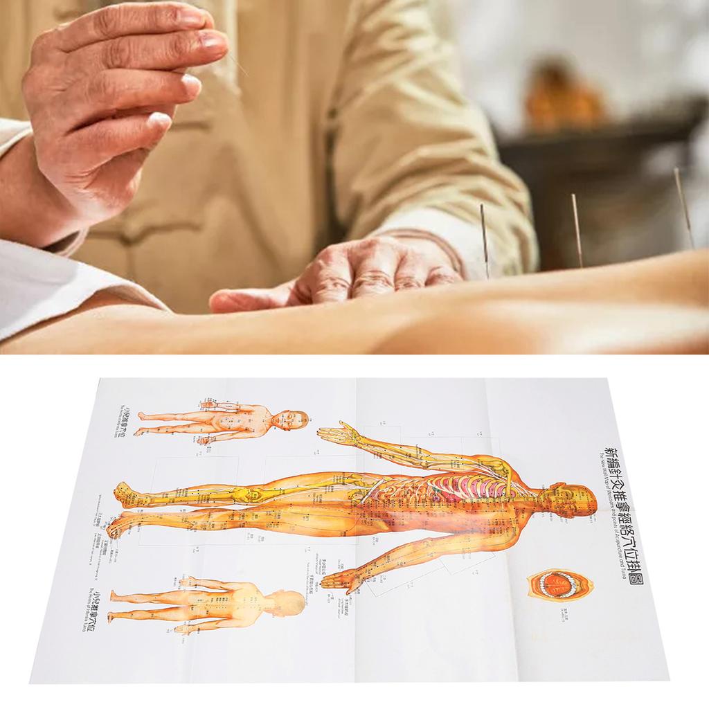 Kaufe Chinese and English Acupoint Wall Chart Front Large Size ...