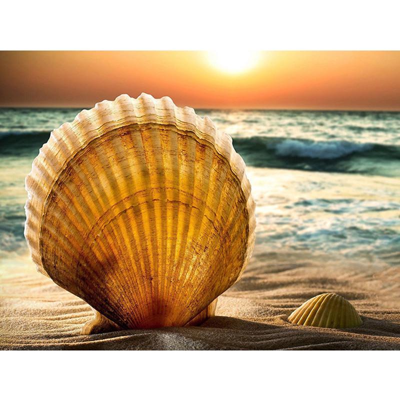 Full 5D Diy Diamond Painting Sea Shells Embroidery Cross Stitch Home ...